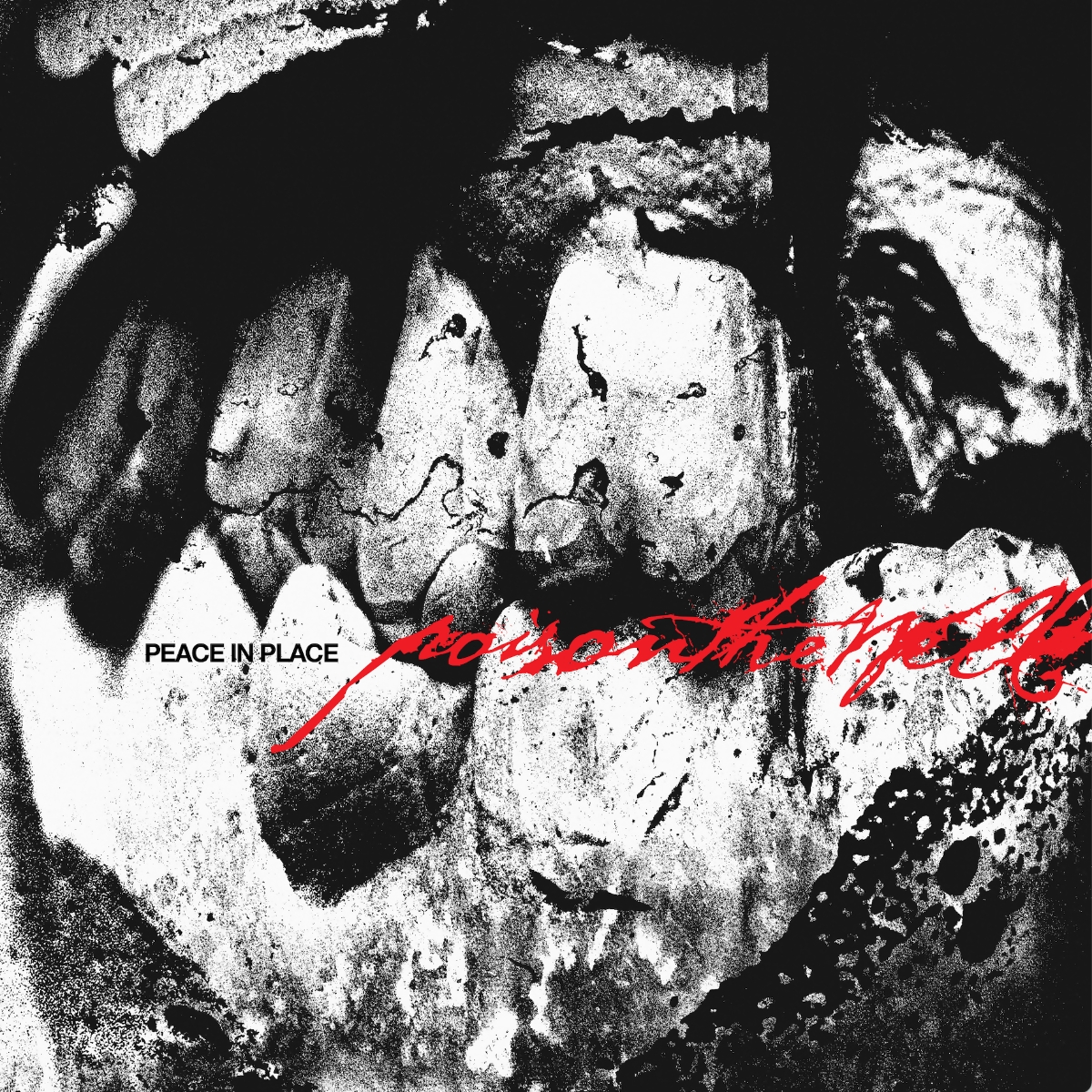 Poison The Well Announce New Album 'Peace In Place', Their First In 17 ...